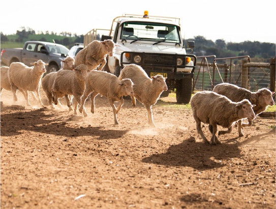 Asset 6 | Oxton Park