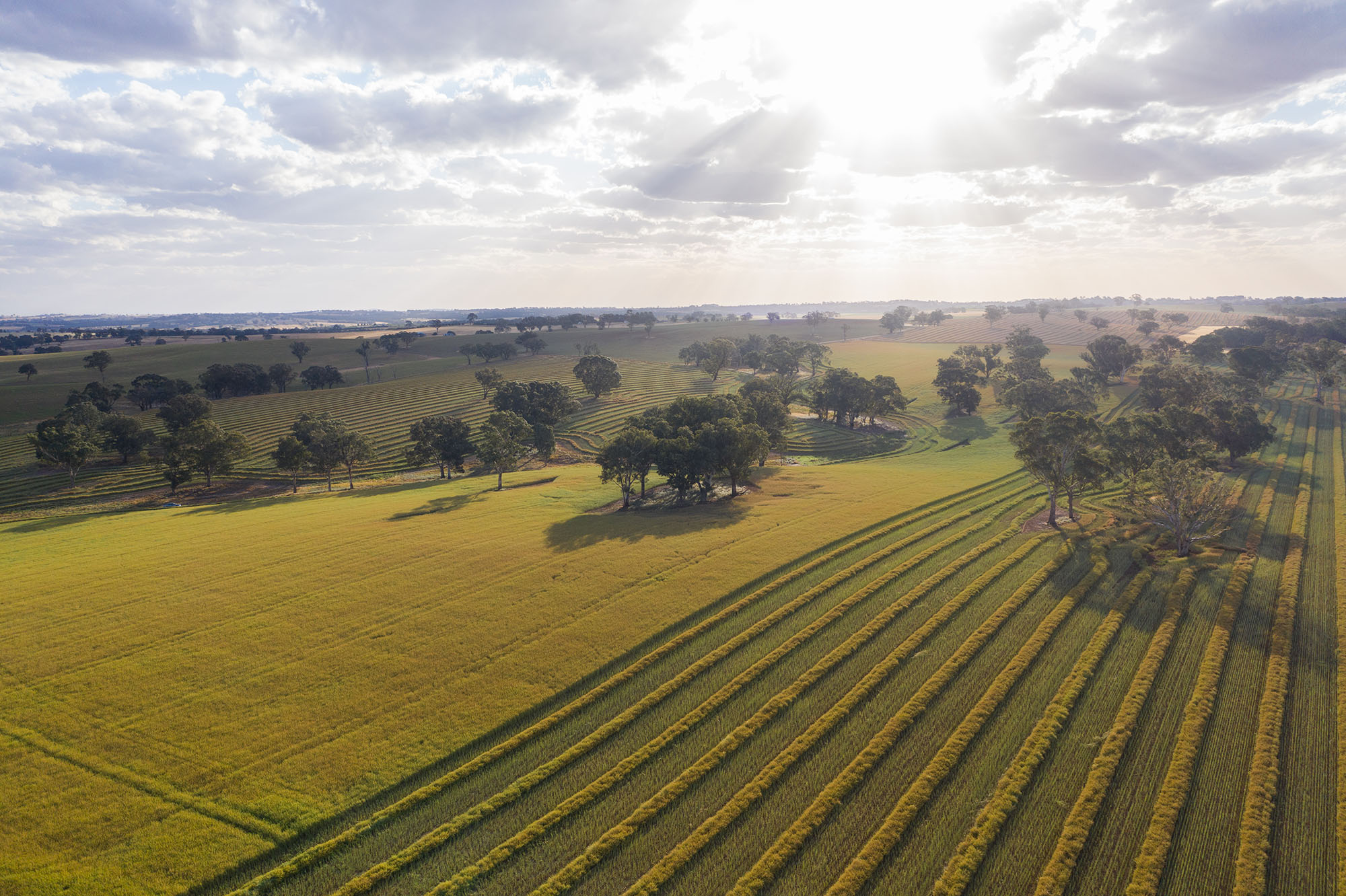 DJI_0140 | Oxton Park